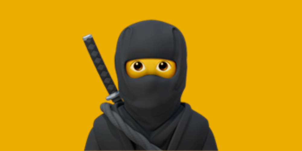 Ninjavote – Mikkel Svartveit